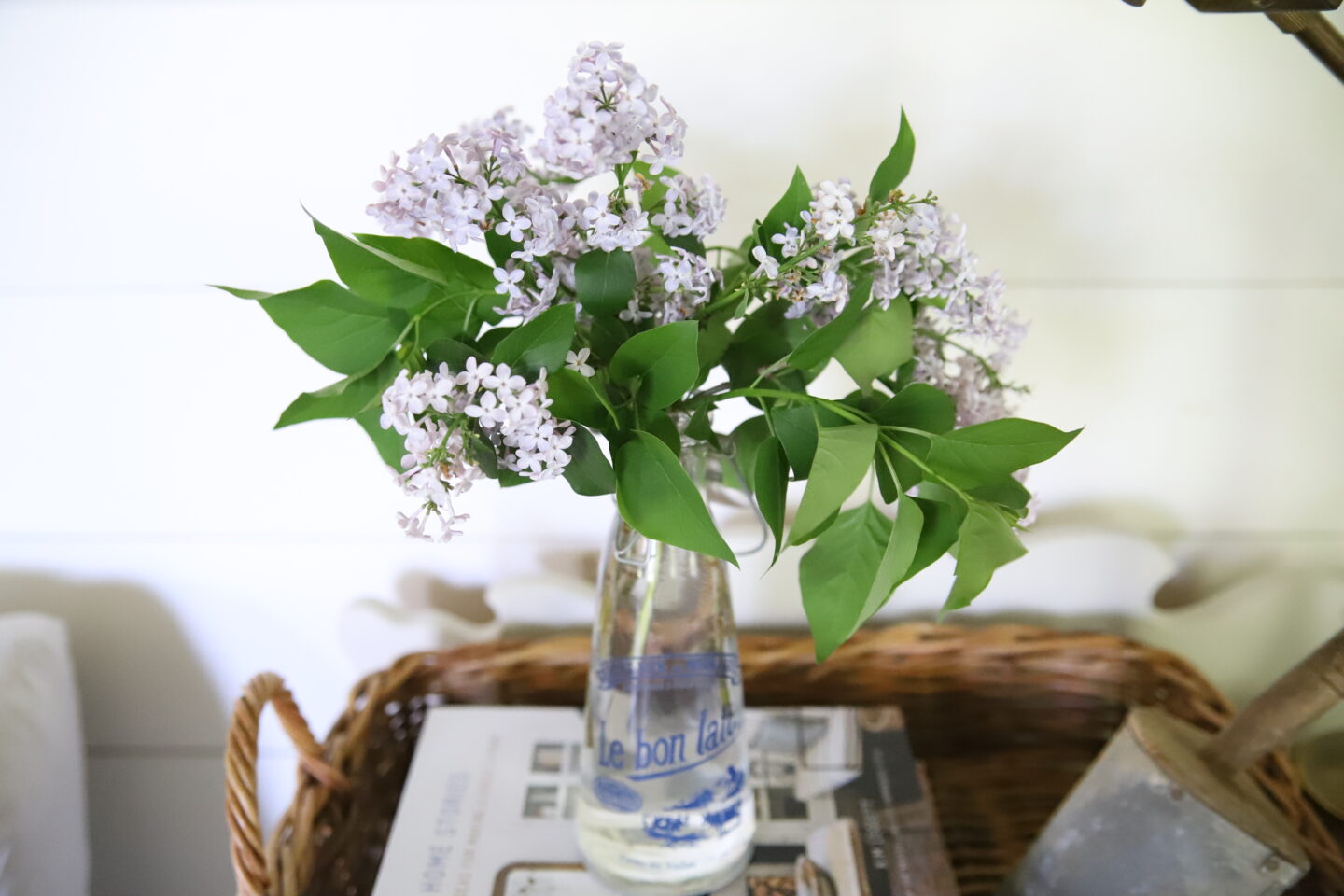 How To Keep Fresh Cut Lilacs From Drooping - Gracefully Home