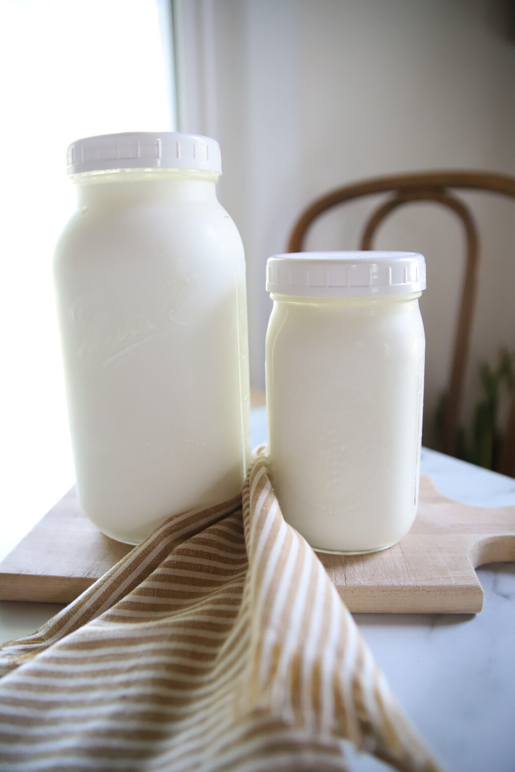 Making Homemade Yogurt with Instant Pot Function - Gracefully Home