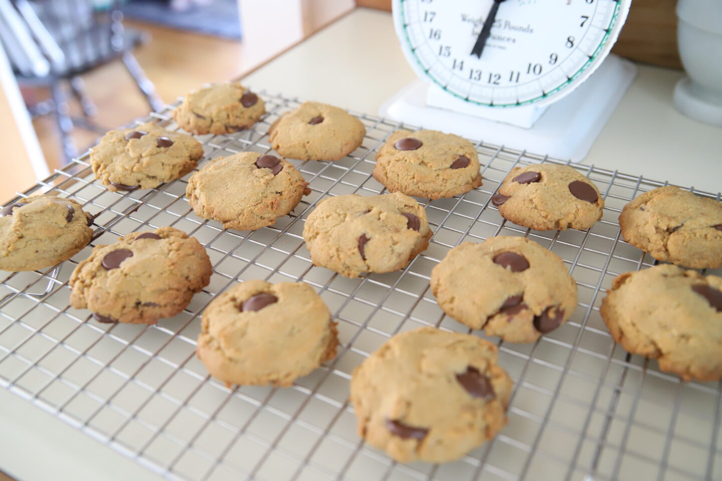 Kamut Chocolate Chip Cookies - Gracefully Home