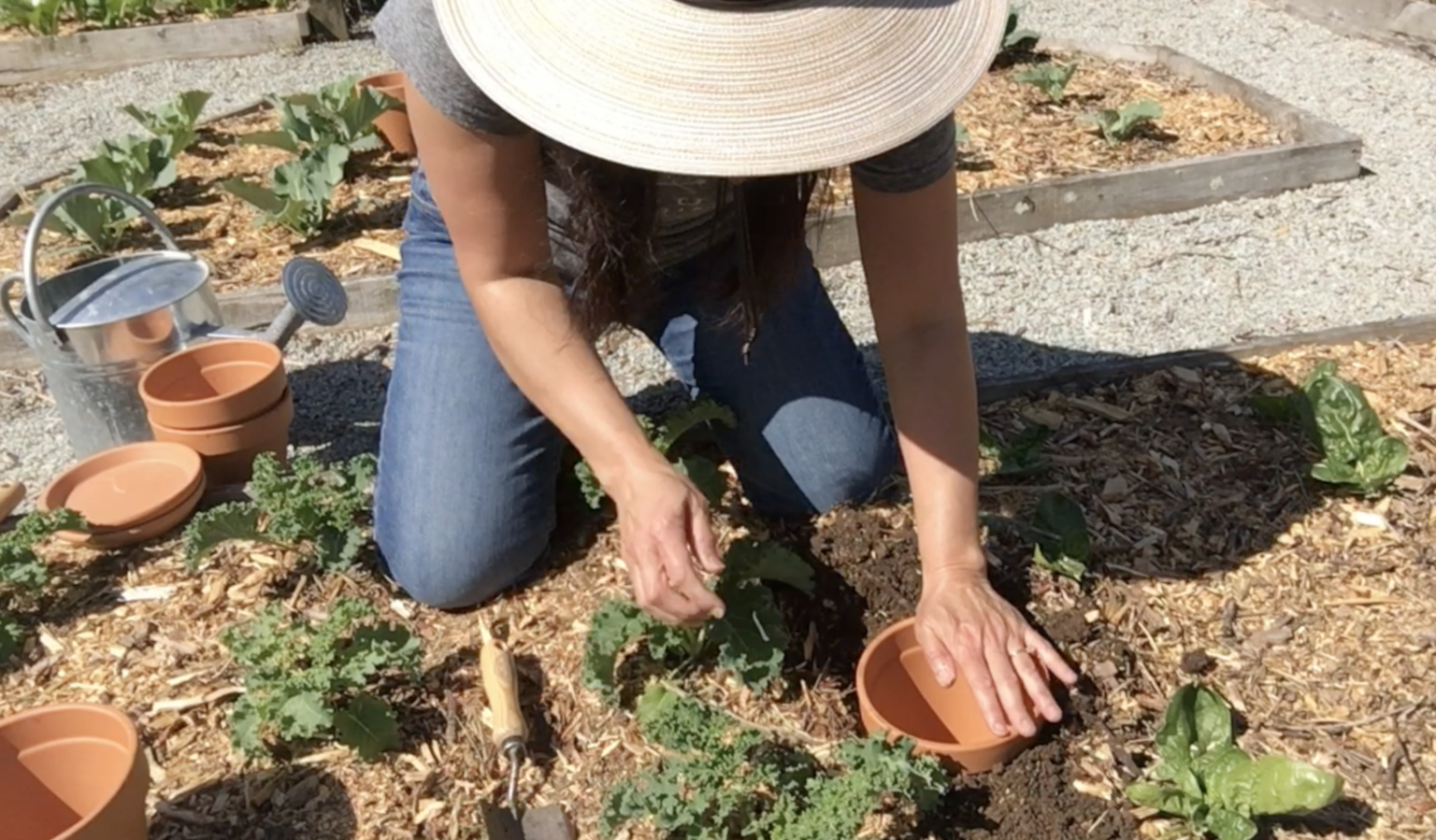 DIY Olla Watering Pot - Gracefully Home